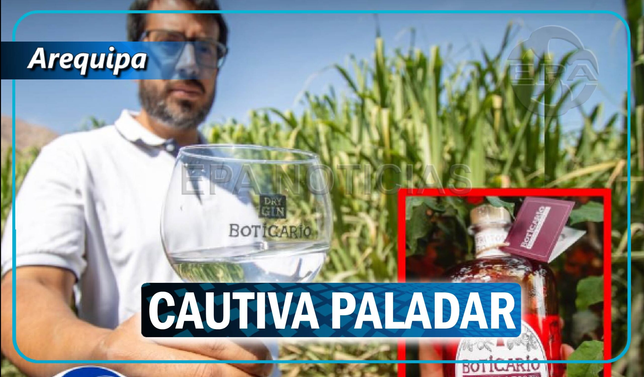 Un gin Arequipeño que destaca entre los destilados artesanales, celebra ...